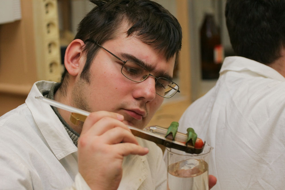 About UNN - Lobachevsky University